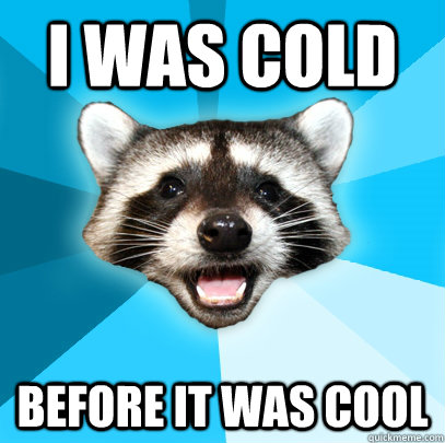 I WAS COLD BEFORE IT WAS COOL - Lame Pun Coon - quickmeme
