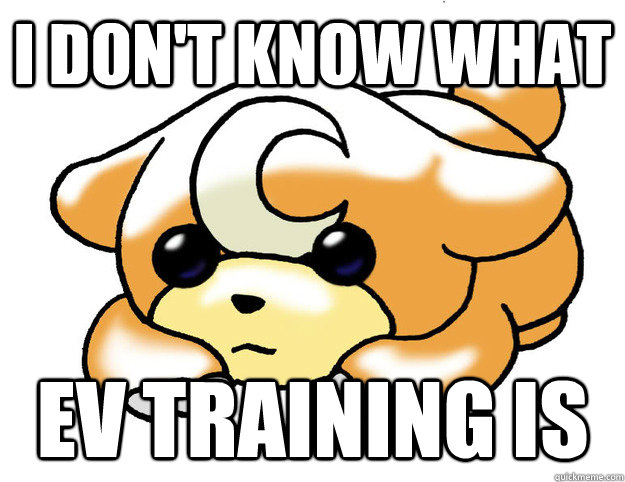 I don't know what EV training is - Confession Teddiursa - quickmeme