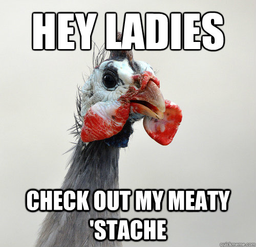 Hey Ladies Check out my meaty 'stache - meaty stache - quickmeme