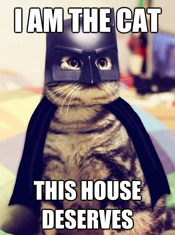 I am the cat This house deserves - Serious Bat Cat - quickmeme
