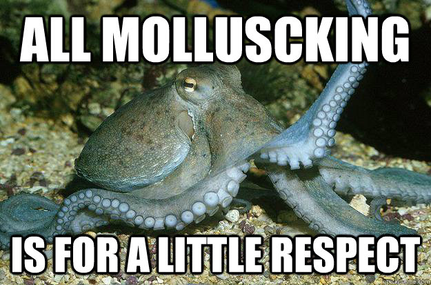 All Molluscking Is for a little respect - Misc - quickmeme