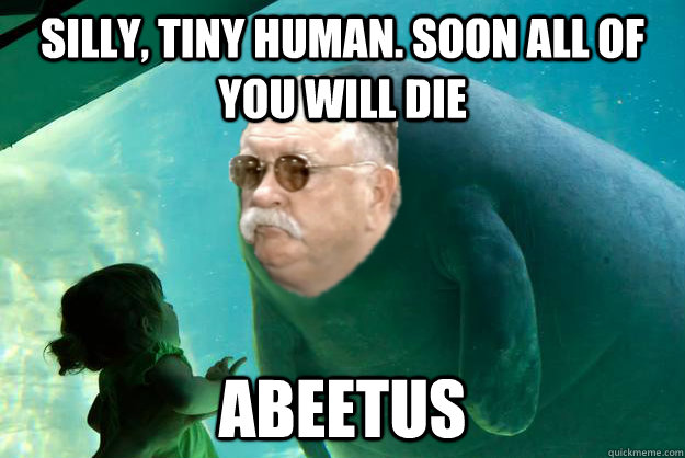 silly, tiny human. soon all of you will die abeetus - Misc - quickmeme