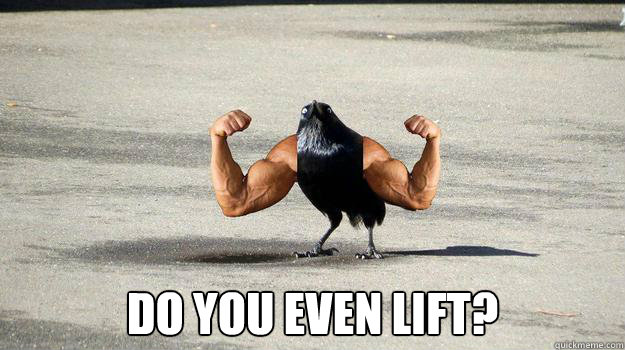 Do you even lift? - Manly Crow - quickmeme