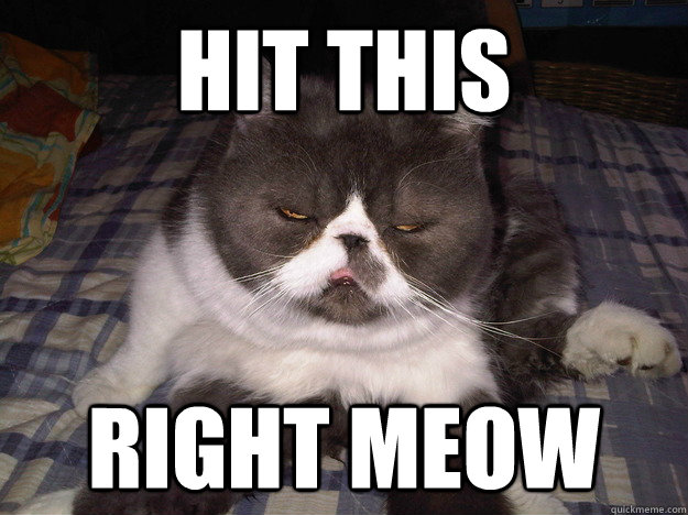 Hit this right meow - Misc - quickmeme