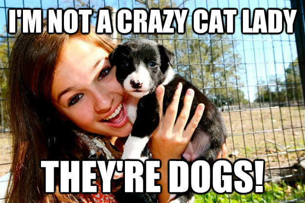 Maddie memes | quickmeme