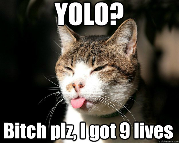 YOLO? Bitch plz, I got 9 lives - YOLOL - quickmeme