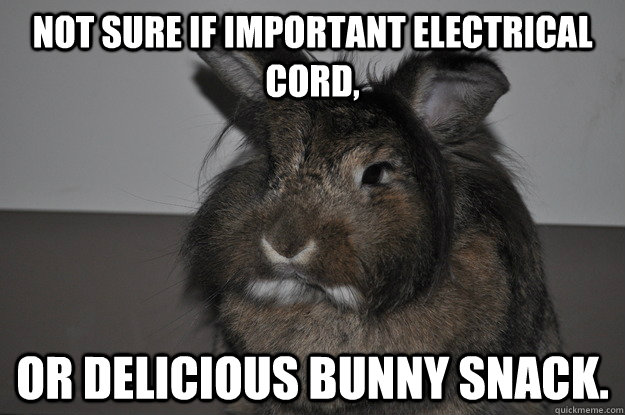 Suspicious Rabbit memes | quickmeme