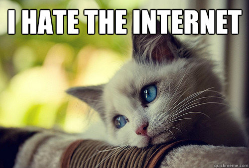I hate the internet - First World Cat Problems - quickmeme