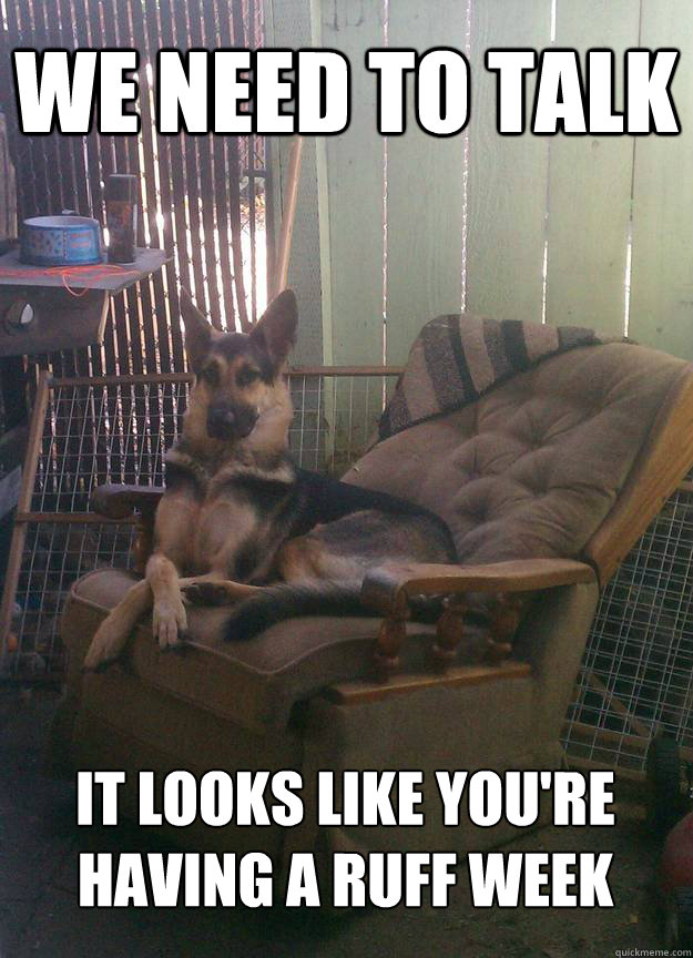 we need to talk it looks like you're having a ruff week - Misc - quickmeme