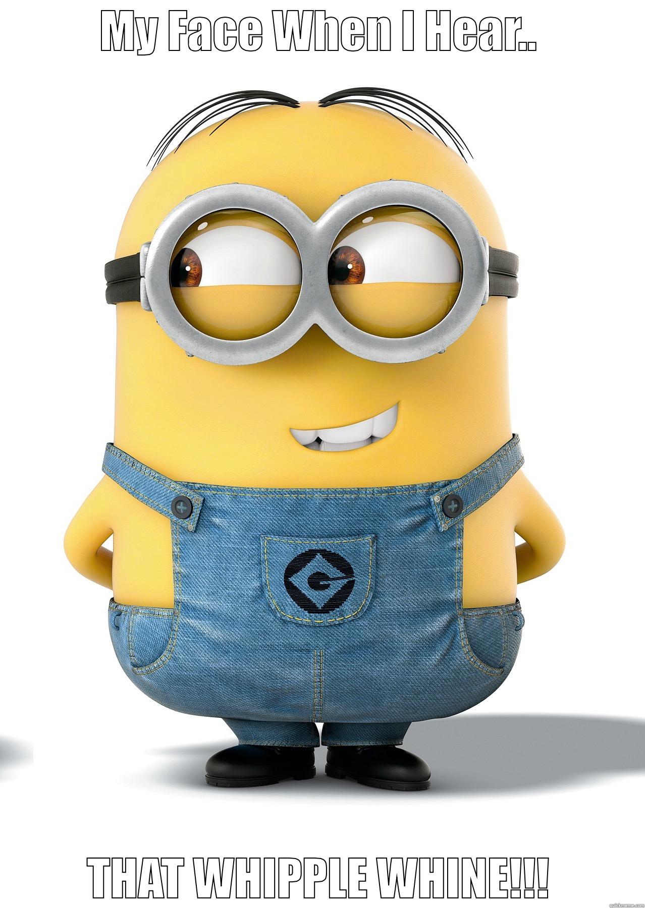 Supercharger minion - quickmeme