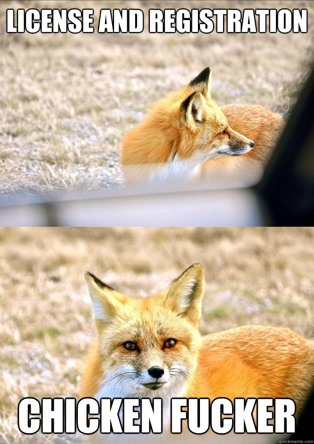 License and registration chicken fucker - Cop Fox - quickmeme