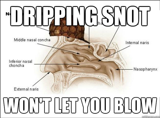 Dripping snot Won't let you blow - Misc - quickmeme