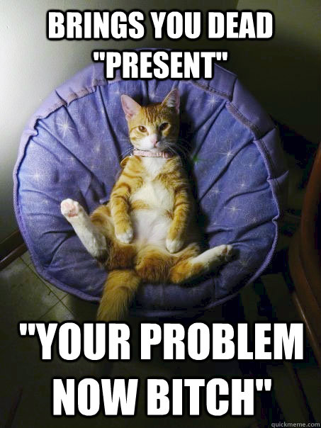 Sadistic Kitty memes | quickmeme