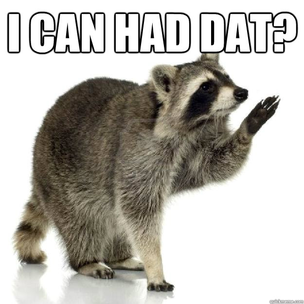 cute, cuddly and totally misunderstood - Rascally raccoon - quickmeme