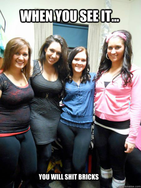 WHEN YOU SEE IT... YOU WILL SHIT BRICKS - Misc - quickmeme