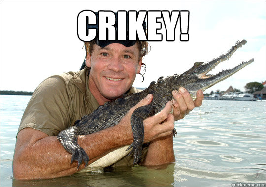 CRIKEY! - Crikey! - quickmeme