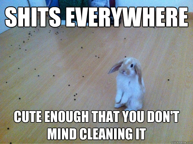 messy bunny memes | quickmeme