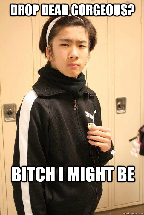 BITCH I MIGHT BE DROP DEAD GORGEOUS? - Misc - quickmeme