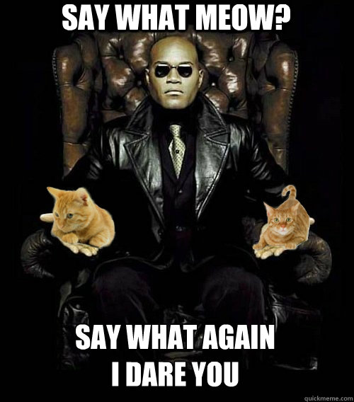 Say What MEOW? Say what again I DARE YOU - SAY WHAT MEOW - quickmeme
