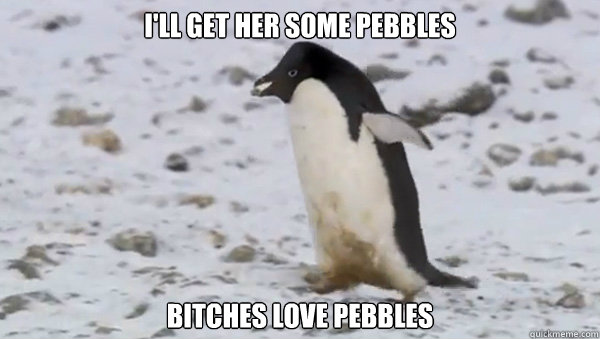 I'll get her some pebbles Bitches love pebbles - Pebbles - quickmeme