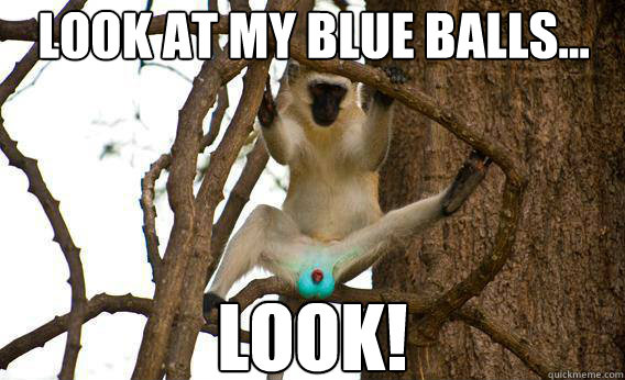 Look at my blue balls... LOOK! - look at these blue balls - quickmeme