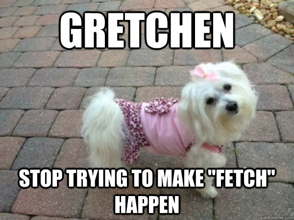 Gretchen Stop trying to make "Fetch" Happen - Misc - quickmeme