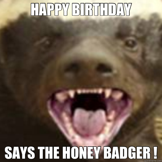 HAPPY BIRTHDAY SAYS THE HONEY BADGER ! - honey badger bday wishes - quickmeme
