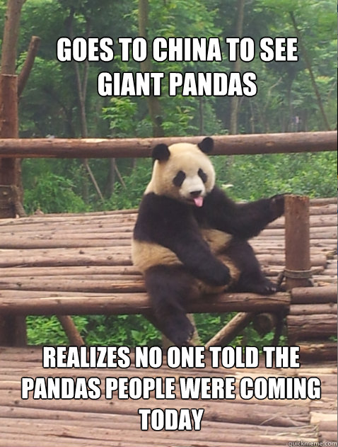 Goes to China to see Giant pandas Realizes no one told the pandas people were coming today ...