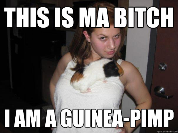 This is ma bitch I am a guinea-pimp - Guinea-pimp - quickmeme