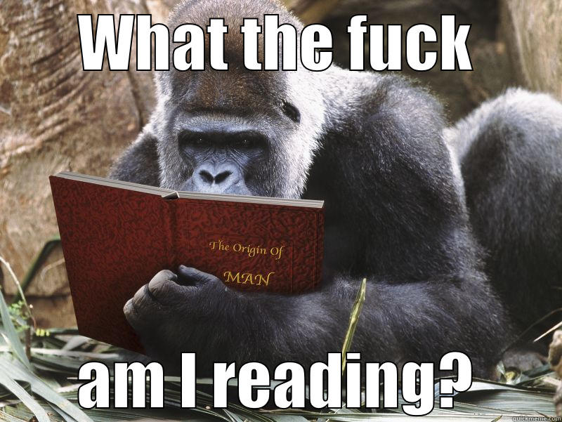 Attenti al Gorilla - quickmeme