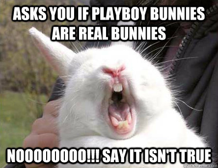 Asks you if playboy bunnies are real bunnies NOOOOOOOO!!! say it isn't true - the eyeless bunny ...