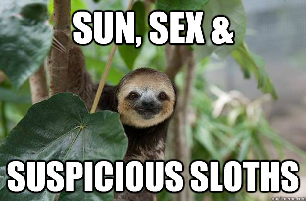 SUN, SEX & SUSPICIOUS SLOTHS - Suspicious sloth - quickmeme