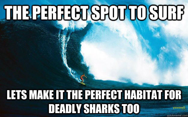 The perfect spot to surf Lets make it the perfect habitat for deadly sharks too - Misc - quickmeme