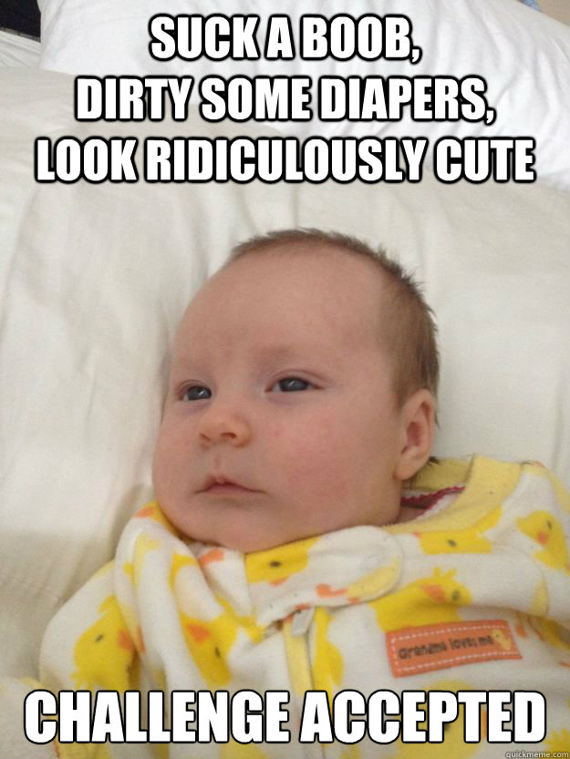 suck a boob, dirty some diapers, look ridiculously cute challenge accepted - Misc - quickmeme