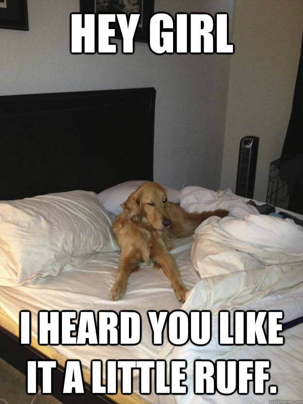 Hey girl I heard you like it a little ruff. - Misc - quickmeme