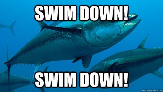 big tuna memes | quickmeme