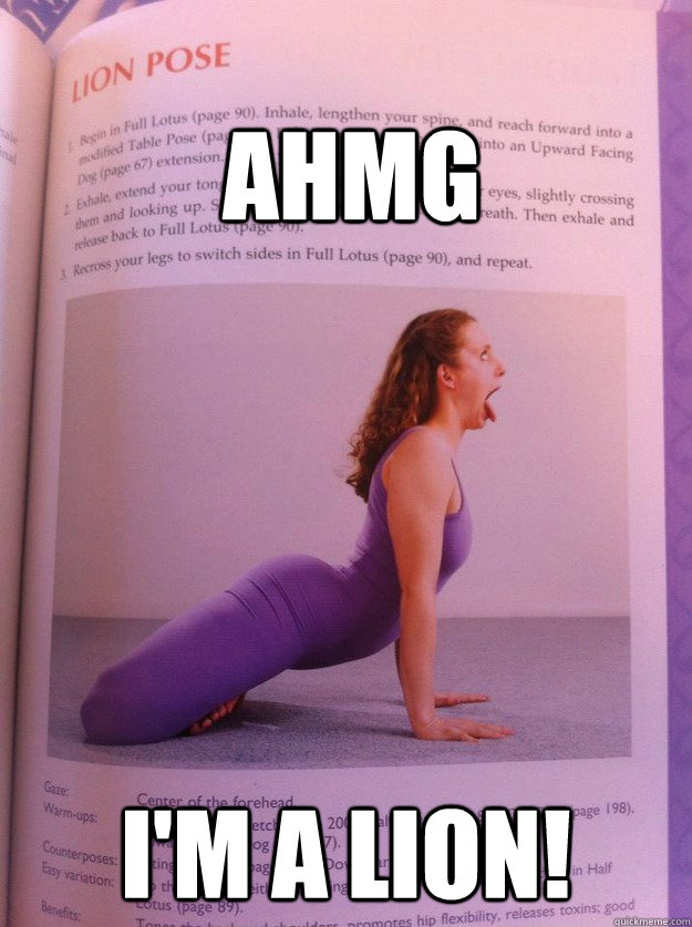 AHMG I'm a lion! - Im a lion - quickmeme