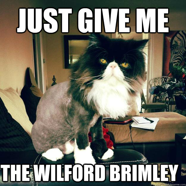 just give me the Wilford Brimley - Zach Kitty - quickmeme