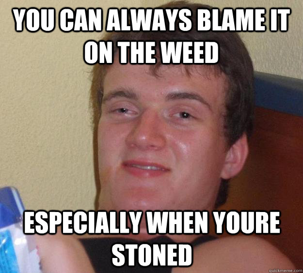 You can always blame it on the weed Especially when youre stoned - Misc - quickmeme