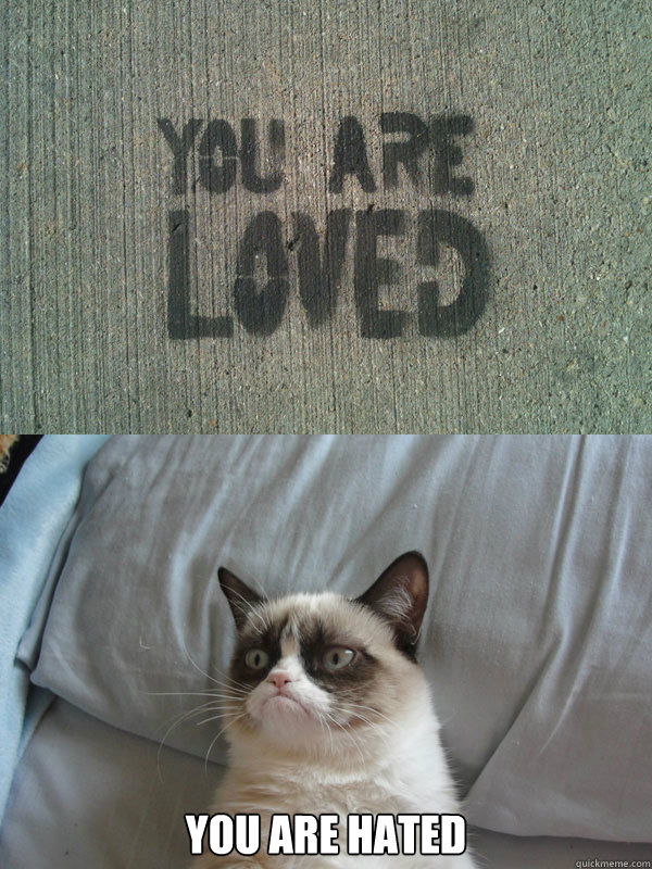 you are hated - Grumpy Cat Reacts to Lame Graffiti - quickmeme