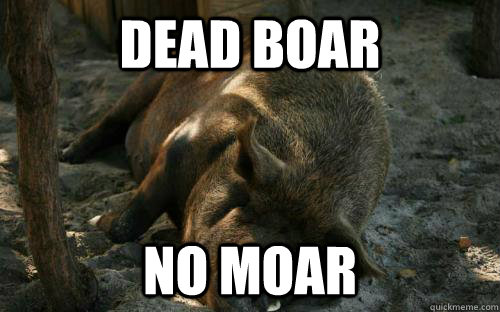 dead boar no moar - Dead Boar - quickmeme