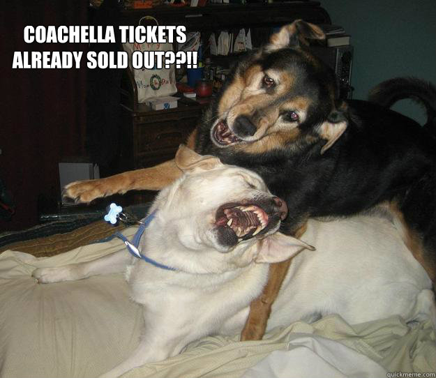 Angry Dogs Coachella memes | quickmeme