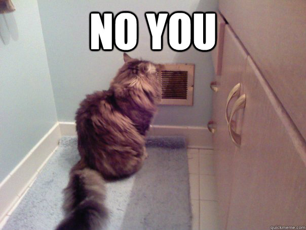 no you - No You Cat - quickmeme