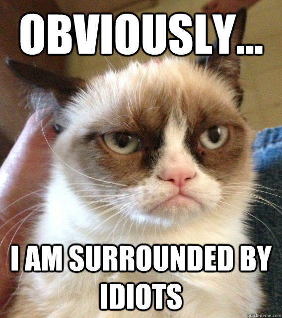 Obviously... I am surrounded by idiots - Misc - quickmeme