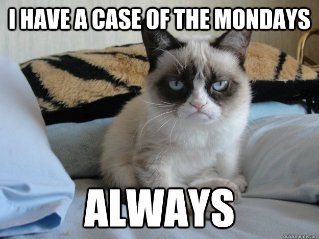 GRUMPY Morning Cat memes | quickmeme
