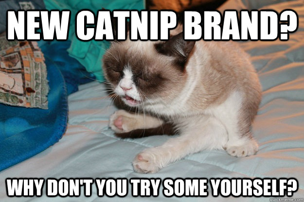New catnip brand? Why don't you try some yourself? - New Catnip for Grumpy Cat - quickmeme
