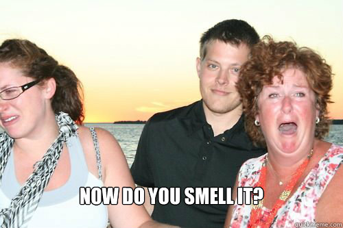 Now do you smell it? - Misc - quickmeme