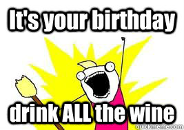 It's your birthday drink ALL the wine - Misc - quickmeme