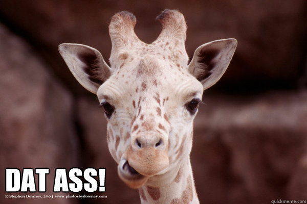 DAT ass! - Giraffe whistle - quickmeme