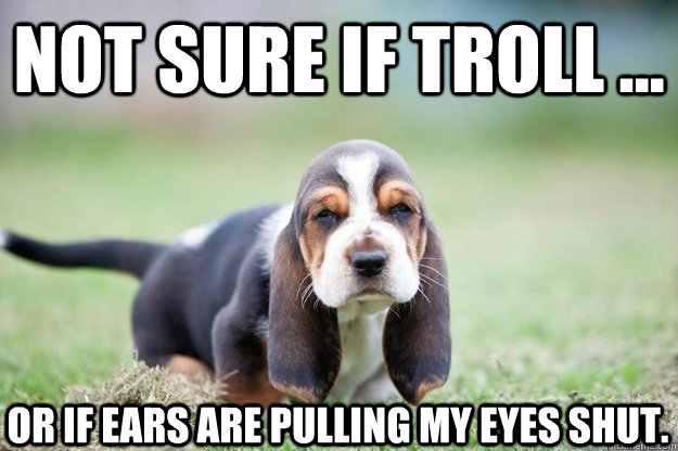 Not sure if troll ... or if ears are pulling my eyes shut. - wienertroll - quickmeme